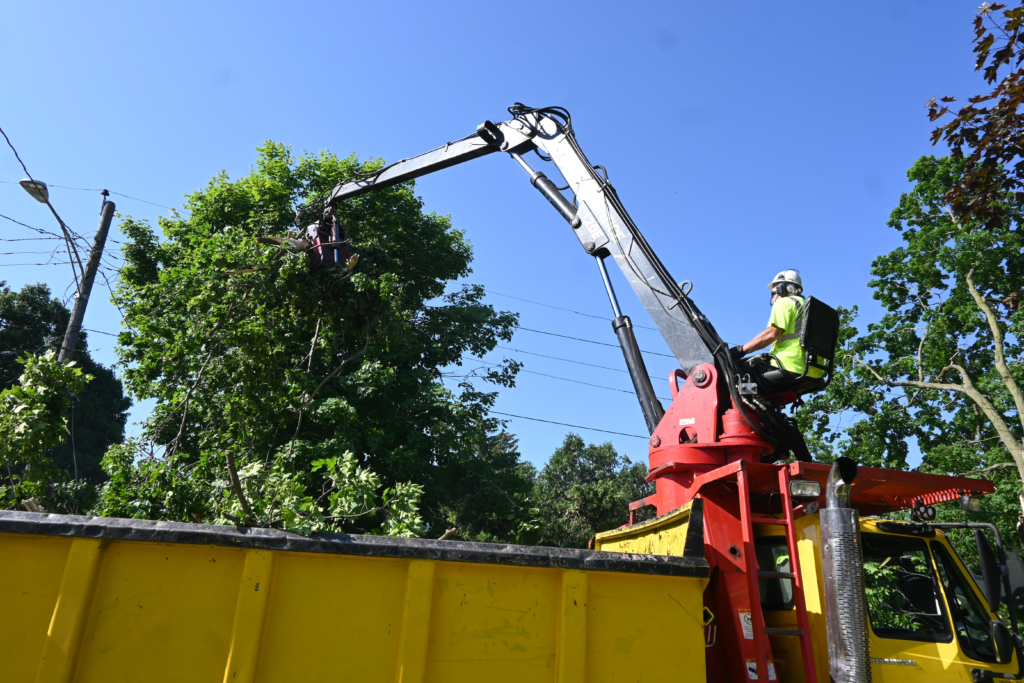 ComEd Preventative Tree Trimming Map and Notice – City of Freeport ...